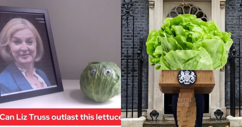 From Lettuce Memes To Historic Moment, The World Had A Field Day At The ...