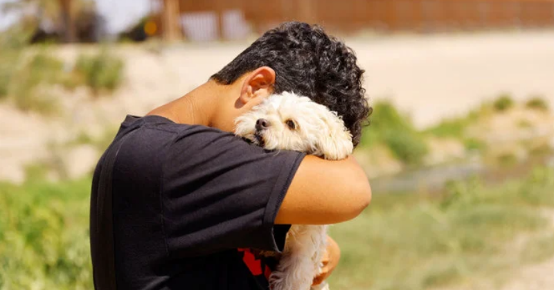 Petting, Interacting With Dogs Engages The Social Side Of Our Brain ...