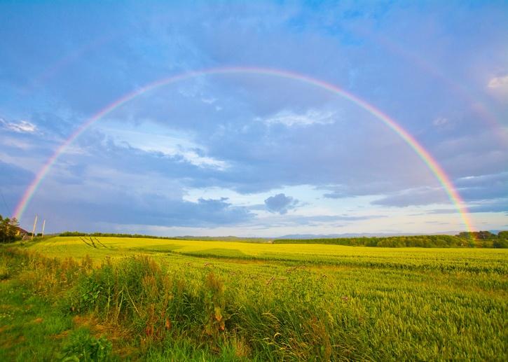 'Fogbow': Photographer Captures Rare ‘Ghost’ Rainbow In California ...