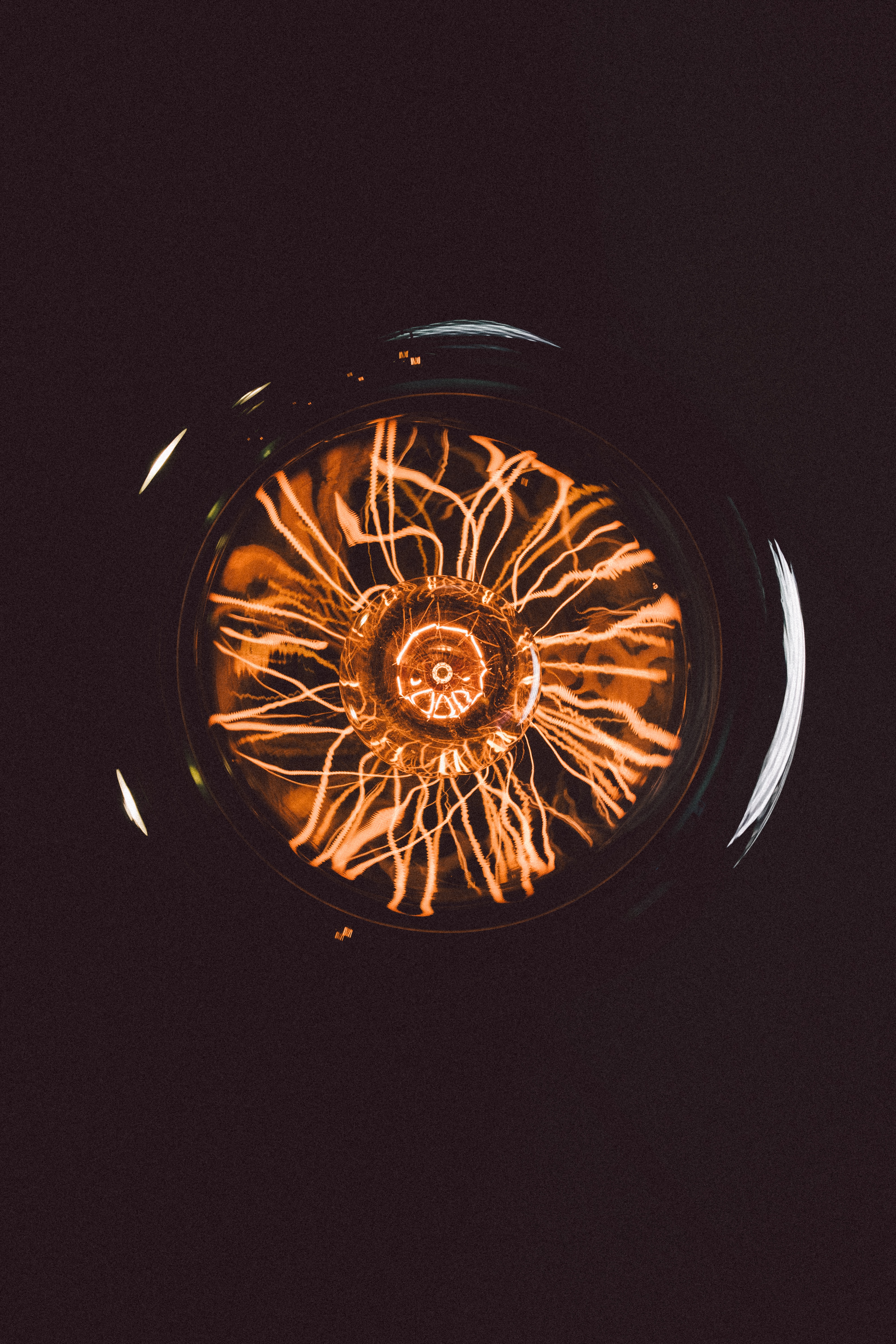 Swarms Of Insects Can Produce As Much Electricity As A Storm Cloud ...