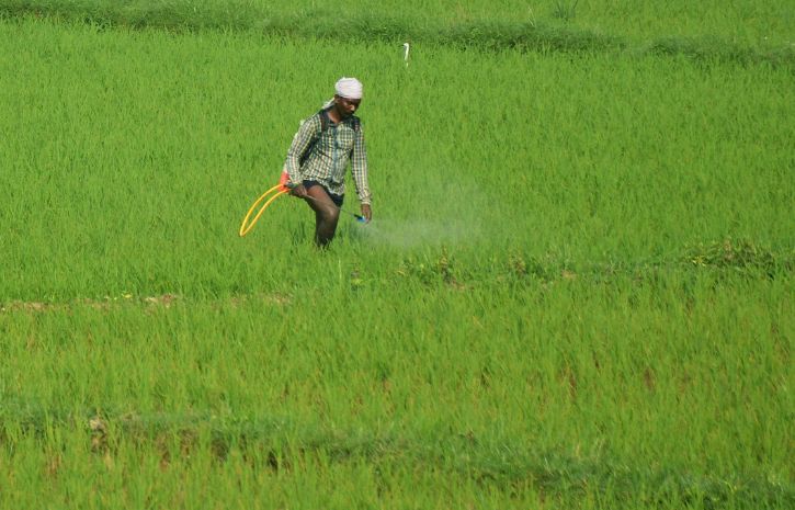 Explained Centres Move On Bringing All Fertiliser Products Under