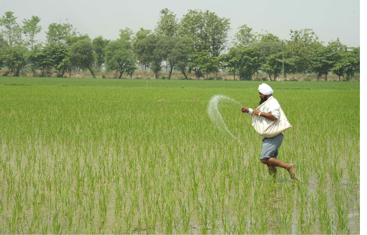 Explained: How Indian Farmers Use Fertilisers And What Is The Patter On ...