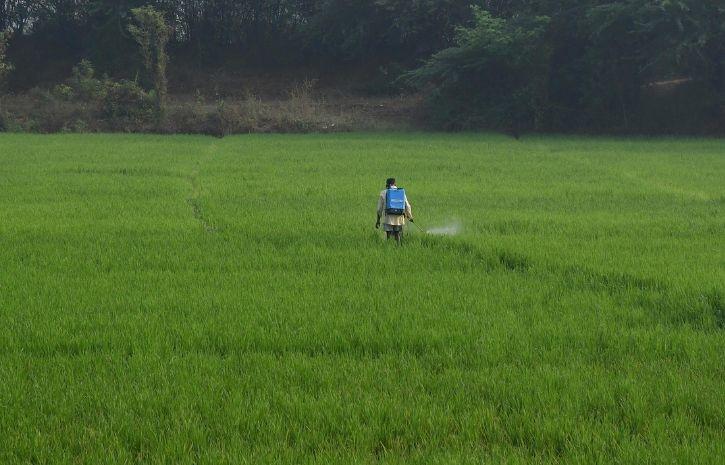 Explained: Centre’s Move On Bringing All Fertiliser Products Under ...