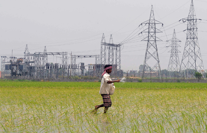 Explained: How Indian Farmers Use Fertilisers And What Is The Patter On ...