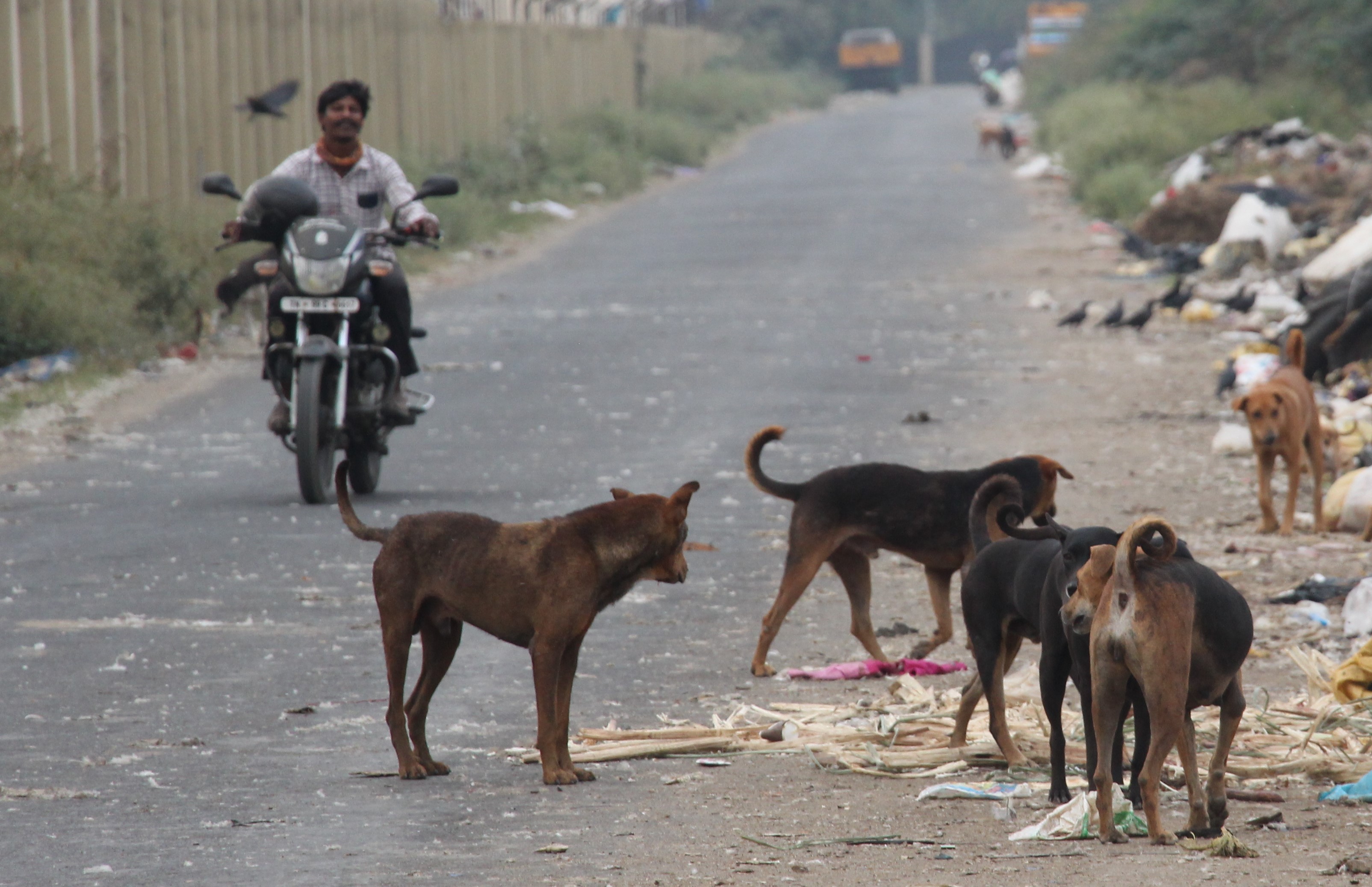 Hyderabad Shocker! Doctor Seriously Injured After Attack By A Pack Of ...