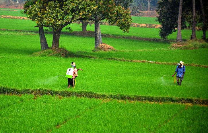 Explained Centres Move On Bringing All Fertiliser Products Under