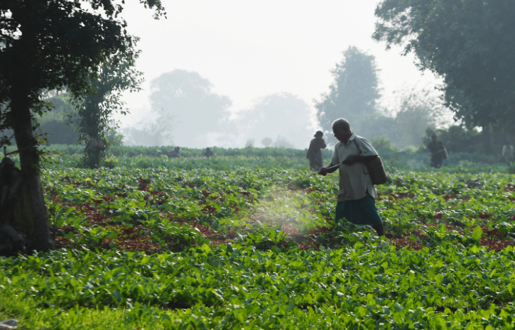 Explained: How Indian Farmers Use Fertilisers And What Is The Patter On ...