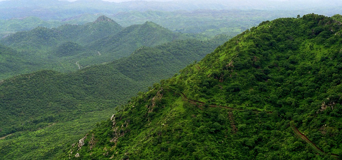 10,000 Acres Of Aravalli To Be Developed As World's Second Largest ...