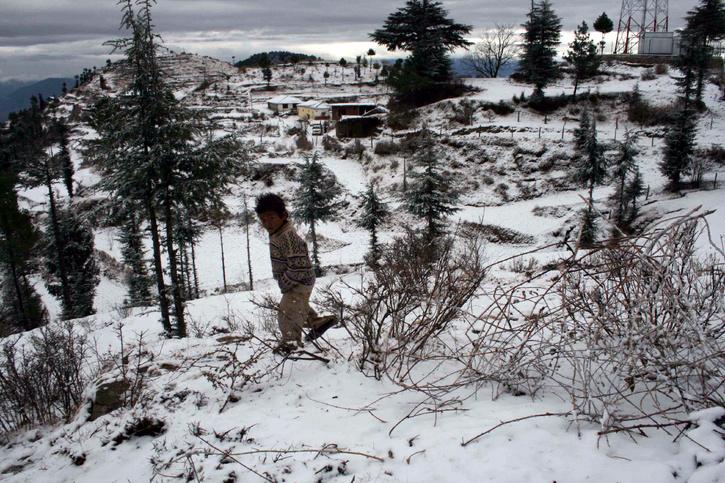 Winter Is Here! Himachal Pradesh Receives Fresh Snowfall, IMD Issues Yellow Alert