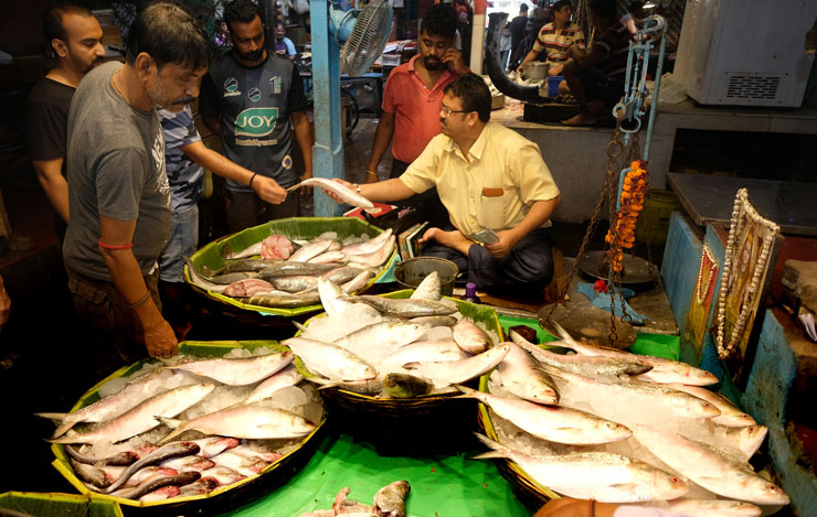 Explained: Why Hilsa Fish Is So Popular In Bengal