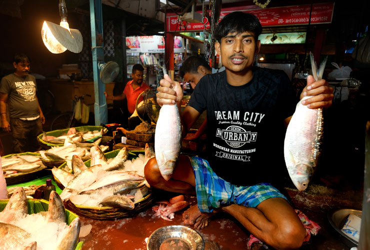 Explained: Why Hilsa Fish Is So Popular In Bengal