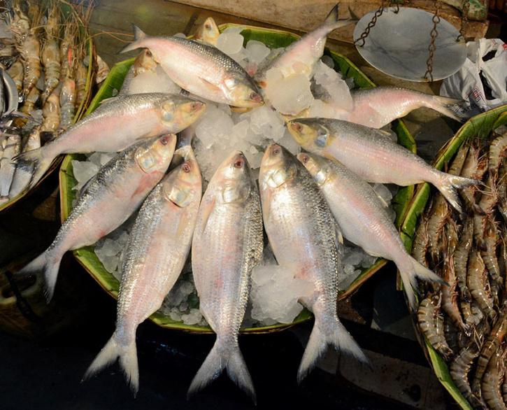 Explained: Why Hilsa Fish Is So Popular In Bengal