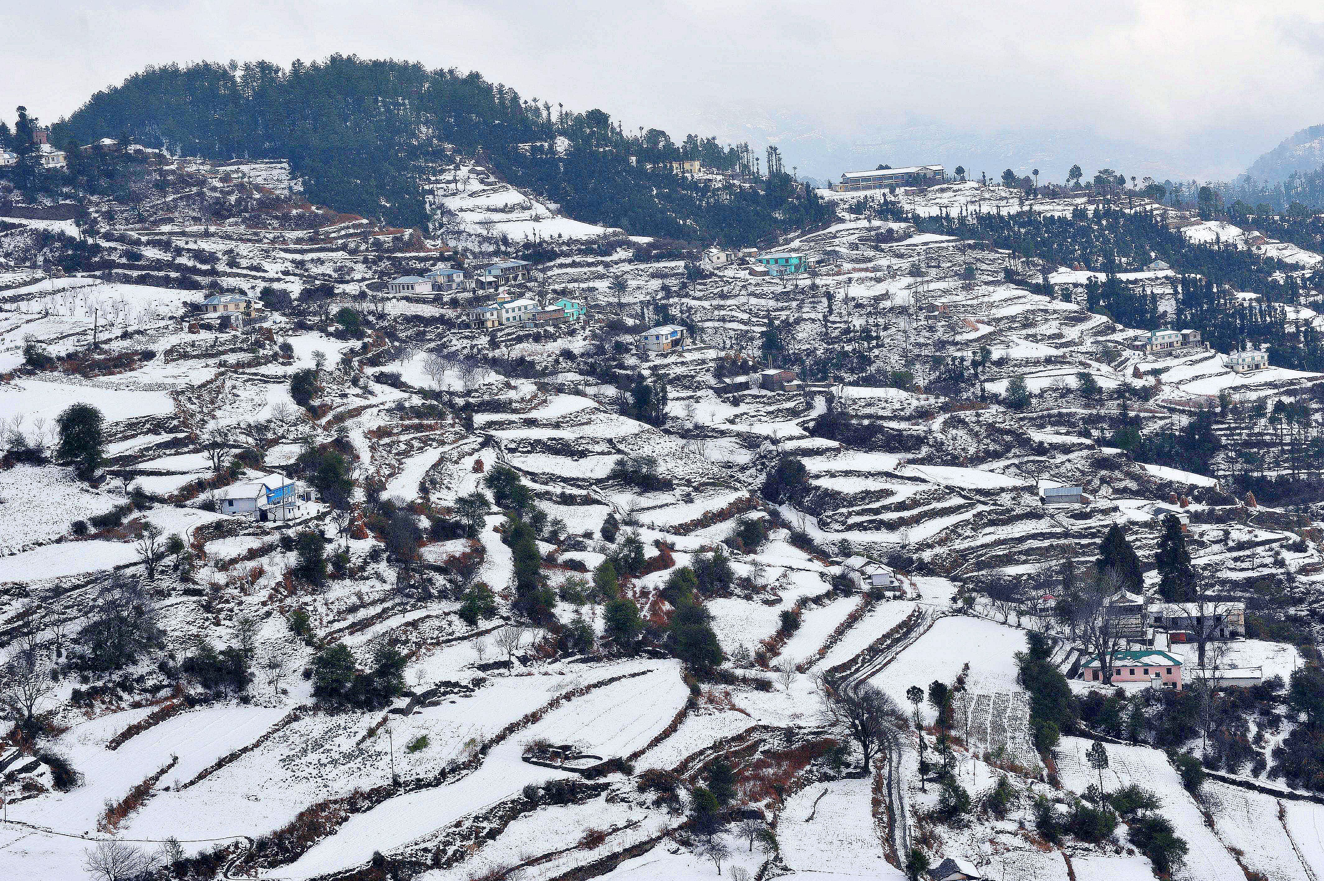 Winter Is Here! Himachal Pradesh Receives Fresh Snowfall, IMD Issues ...
