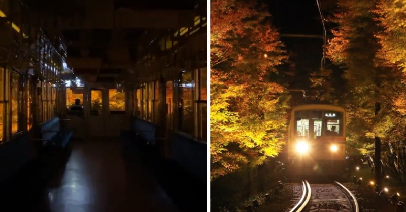 Train Ride Across Japan's 'Maple Tunnel' Has Internet In Awe