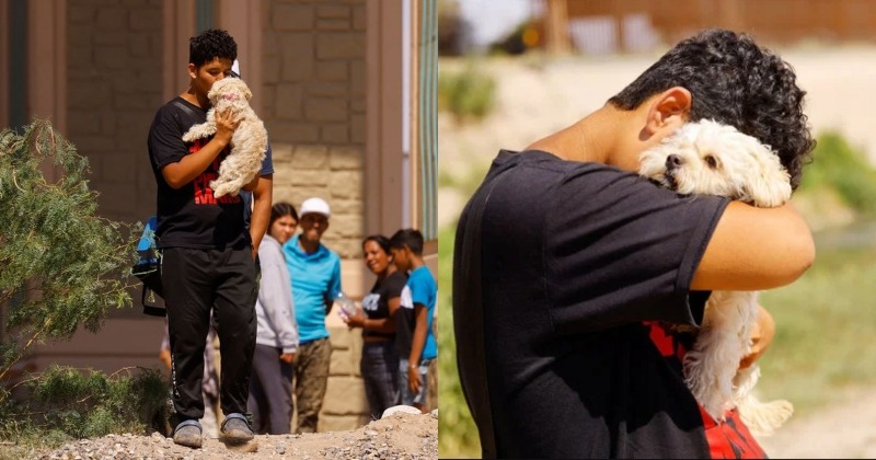 Teen Migrant Takes Long, Risky Journey With Pet Dog, Then Bids It ...