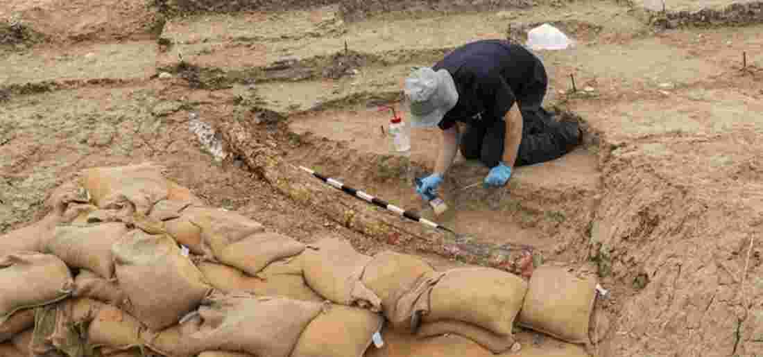 Giant 5,00,000-year-old Elephant Tusk Discovered In Israel