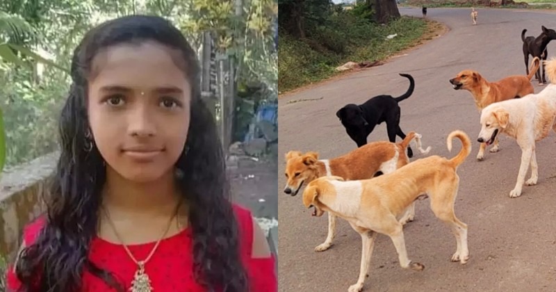 The Death Of A 12-Year-Old Girl From Rabies Puts The Focus Back On ...