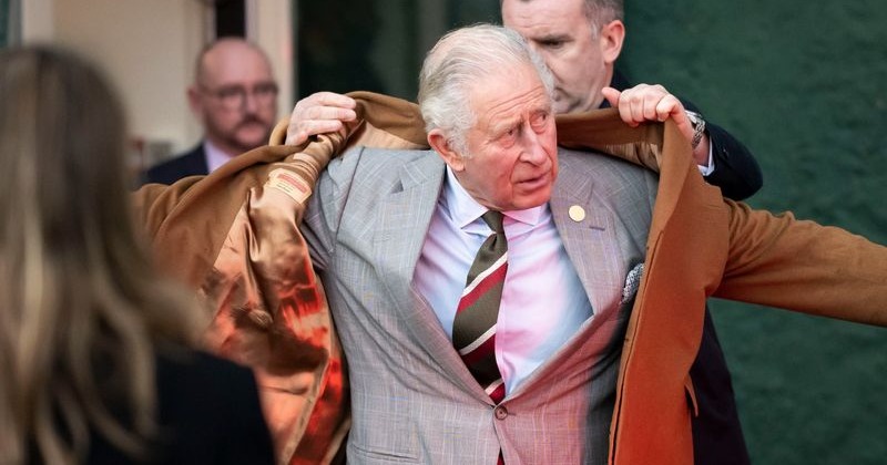 From Ironed Shoelaces To Travelling With Toilet Seat: The Many Quirks ...