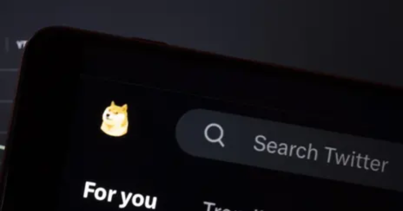 Twitter Blue Bird Logo Changed To The Doge Meme