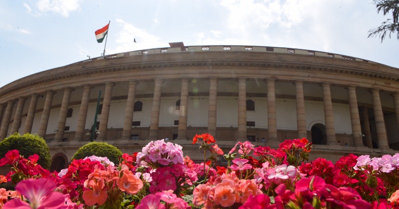 What Are Parliamentary Committees That Act As A Mini-Parliament?