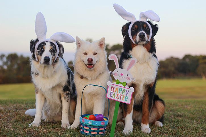 When Is Easter 2023 Easter Date History Origin Significance when-is-easter-2023-easter-date-history-origin-significance