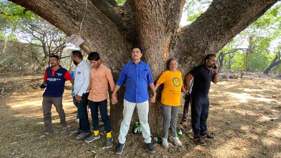 Chipko Again! Protest In Pune Against Felling Of Trees For Pune ...