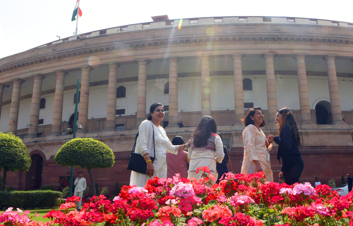 What Are Parliamentary Committees That Act As A Mini-Parliament?