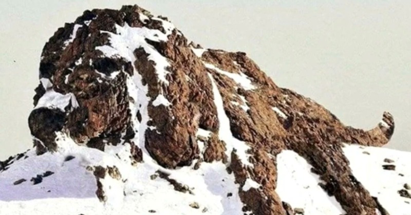 Twitter User Bends Minds With His Undetectable Optical Illusion Puzzle