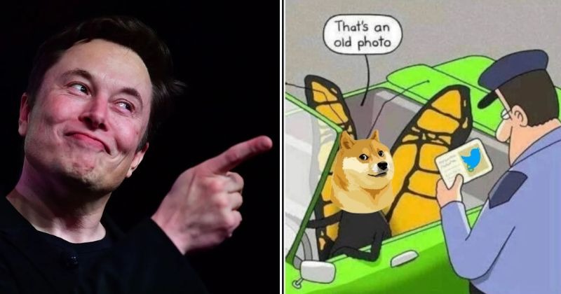 Elon Musk Briefly Changes Twitter's Bird Logo To Doge Meme