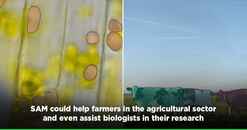 Meta Unveils SAM, An AI Tool That Lets You Select Objects Within Images