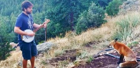 A Wild Encounter: Man and Fox Connect Through the Power of Music