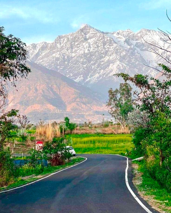 Himachal Pradesh: Video Of Life In Kangra Valley Goes Viral