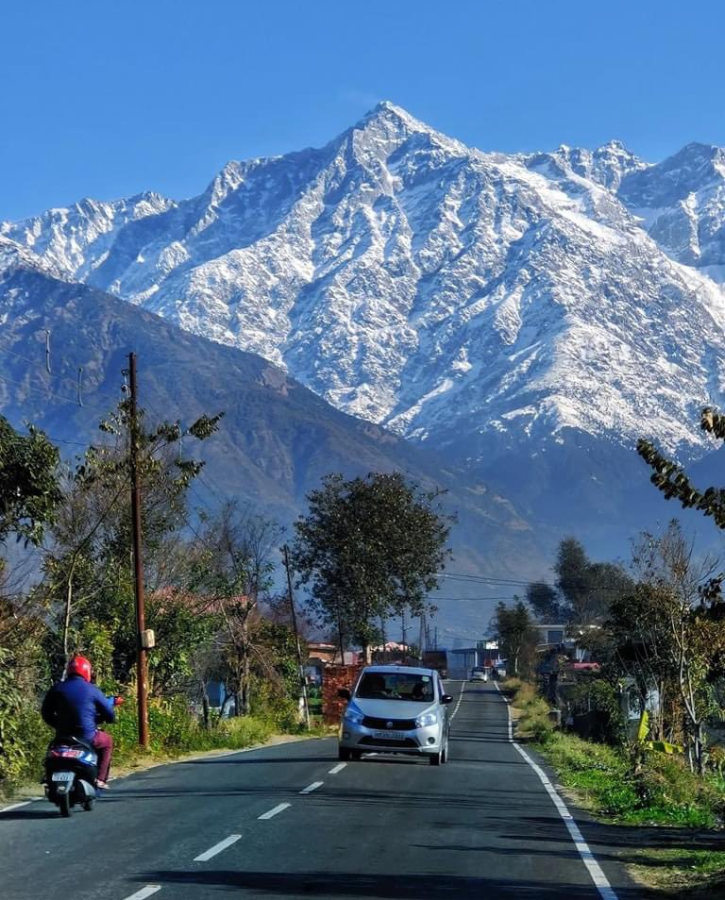 Himachal Pradesh: Video Of Life In Kangra Valley Goes Viral