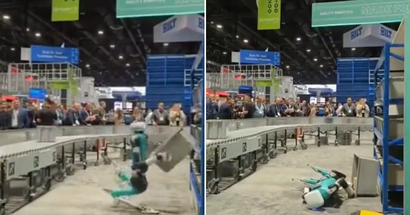 Video of Collapsing Robot Raises Concerns