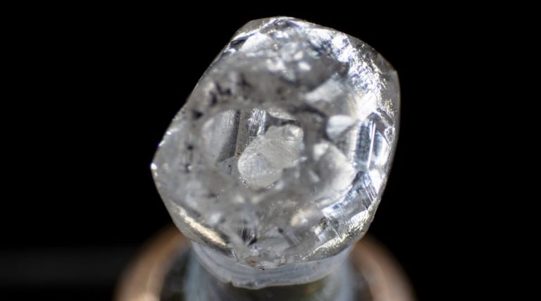 Surat Firm Finds Rare 'Diamond Within Diamond'