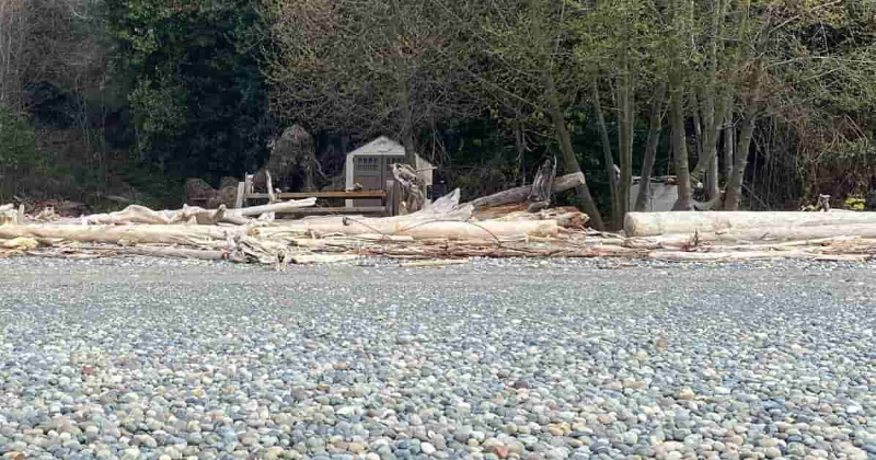 Optical Illusion Only Sharp Eyes Can Spot A Dog On The Beach In 10 Seconds optical-illusion-only-sharp-eyes-can-spot-a-dog-on-the-beach-in-10-seconds