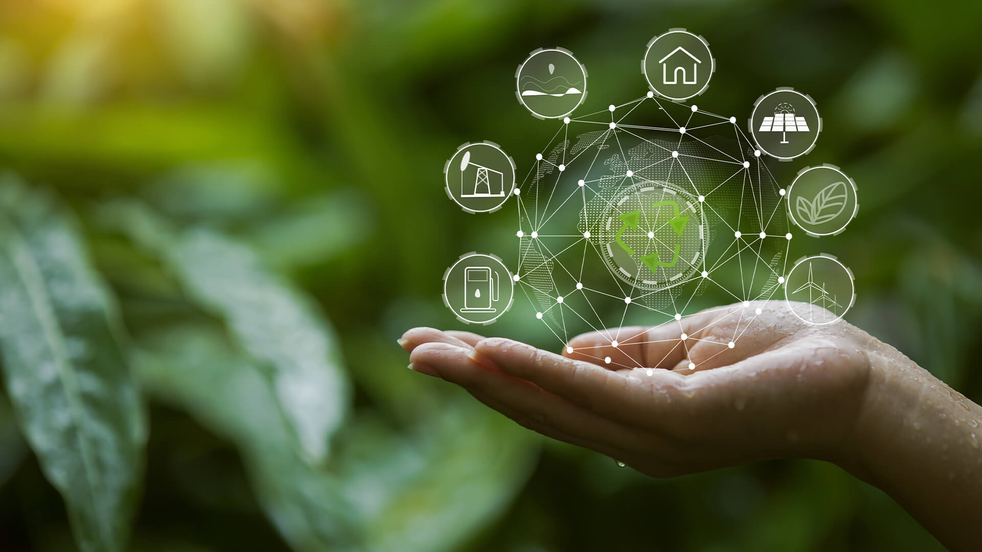 How Offsets Compensate For Carbon Emissions Through Eco Projects?