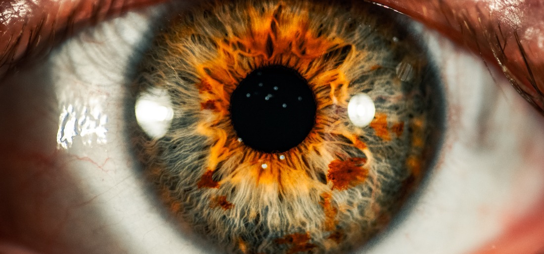 Did Humans Get Vision From Bacteria? New Study Reveals Fascinating Details