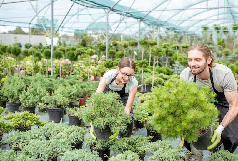 Everything To Know About New Dating Trend Plant Parenthood