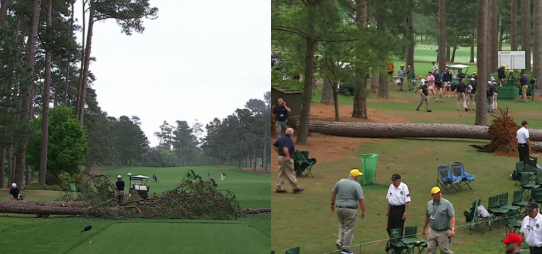 Giant Trees Crashes Down At The Masters Golf Fans