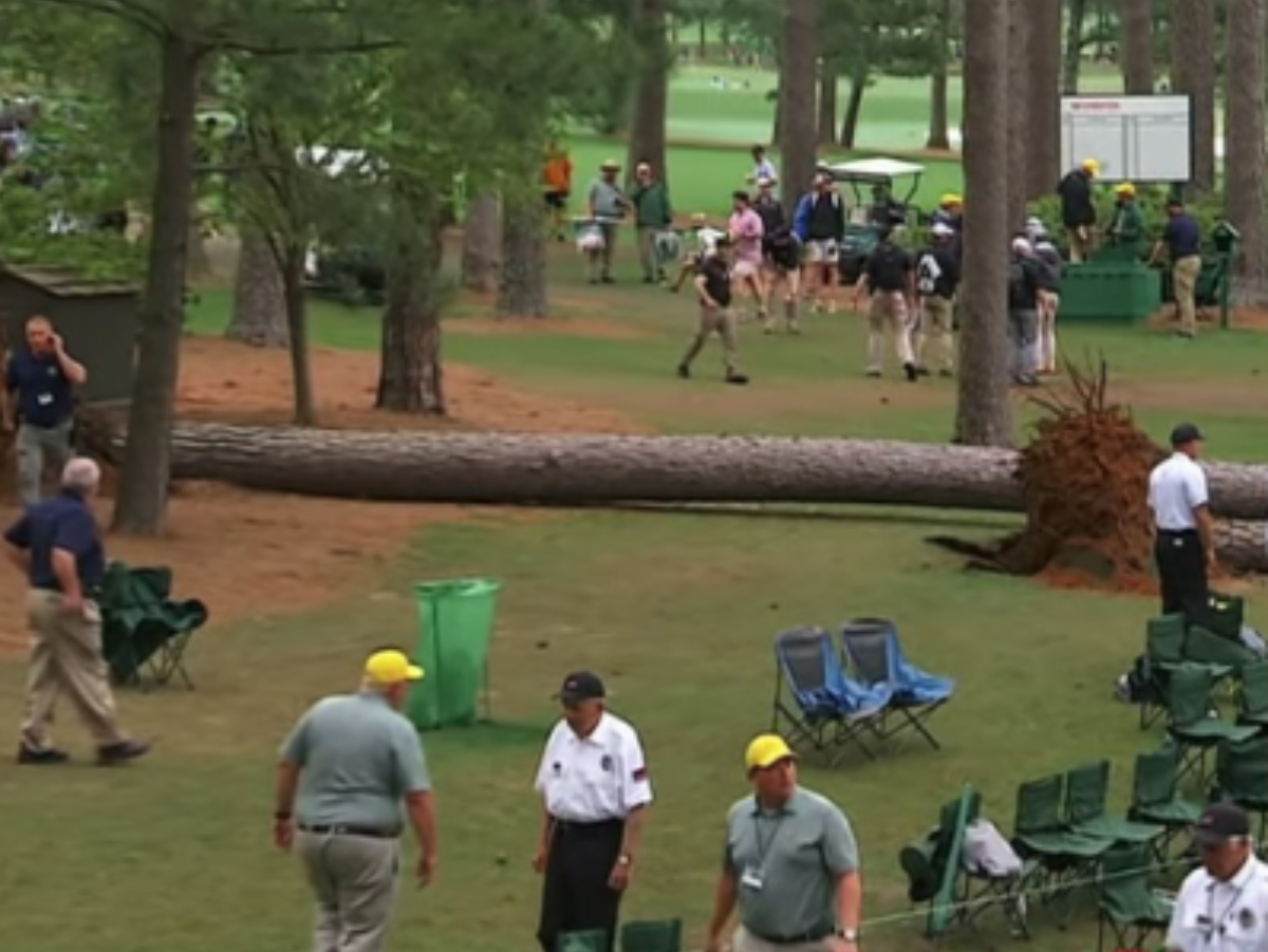 Giant Trees Crashes Down At The Masters Golf Fans