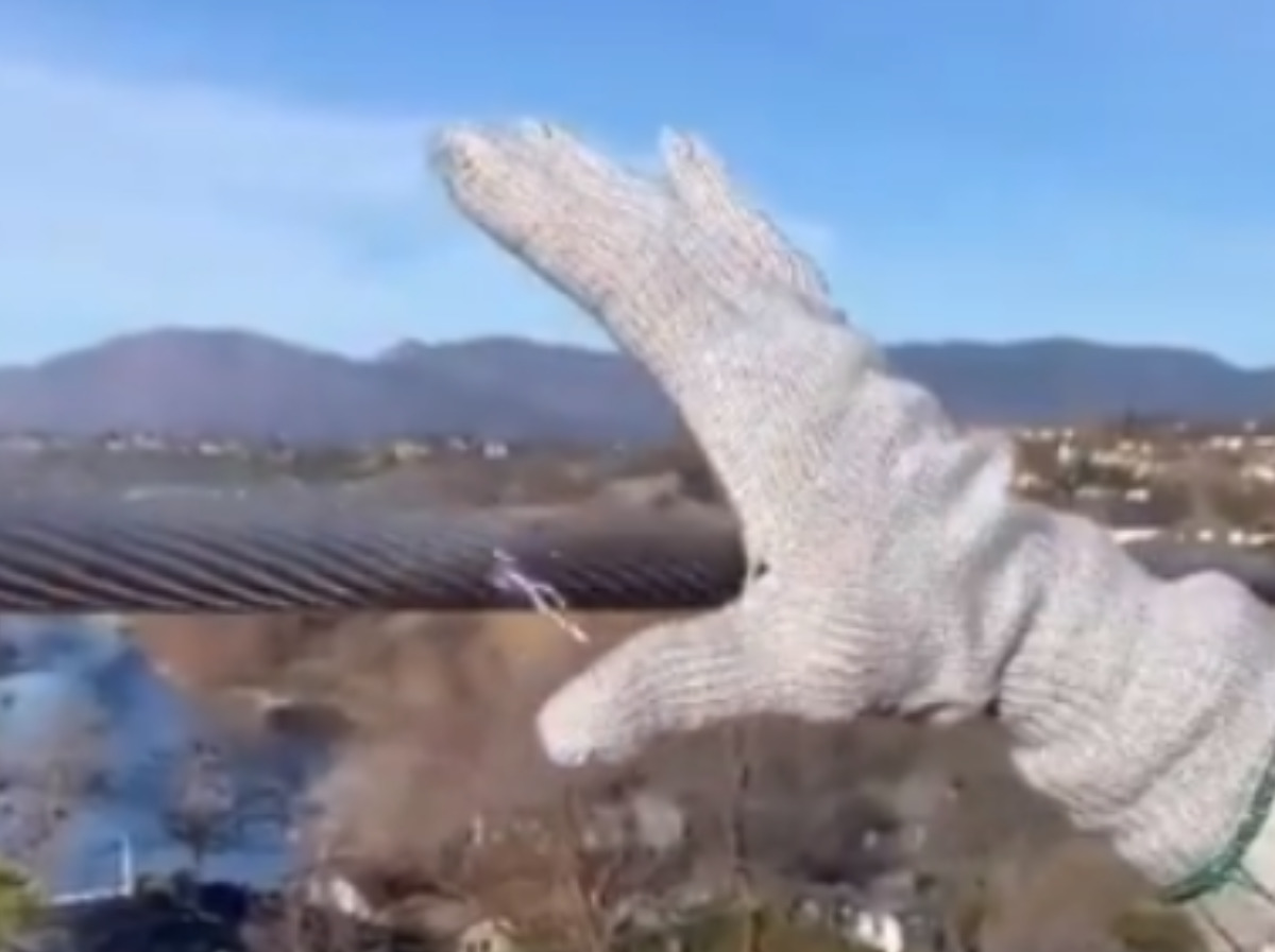 Video Of Man Grabbing High Voltage Wire Goes Viral