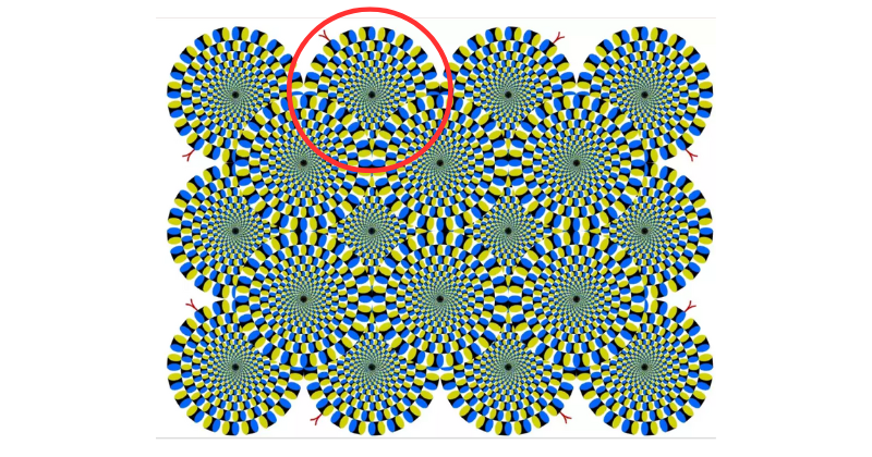This Rotating Optical Illusion Will Confirm Your Trust Issues