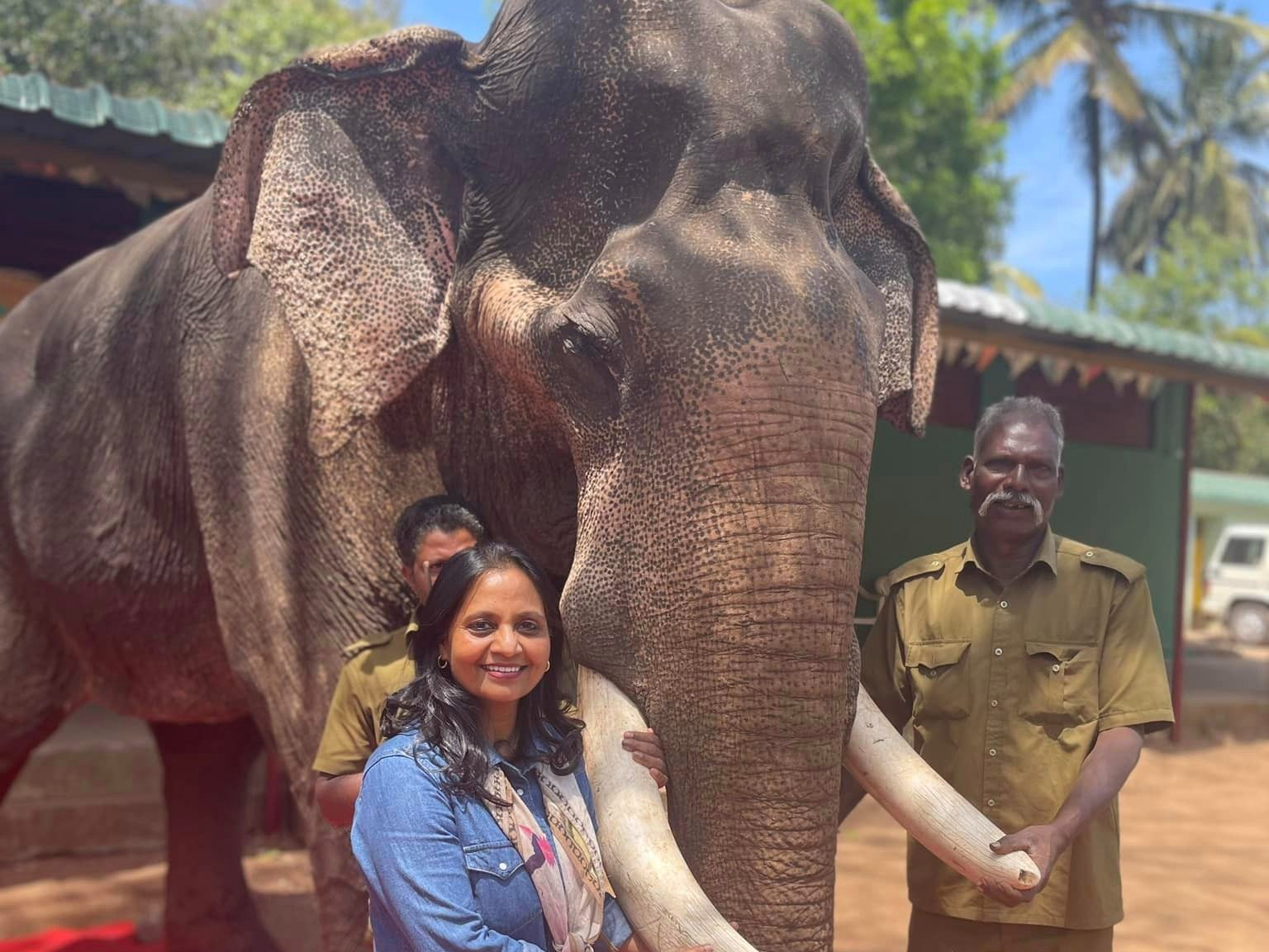 World Elephant Day: Anamalai Kaleem, Tamil Nadu's Legendary Kumki Who ...