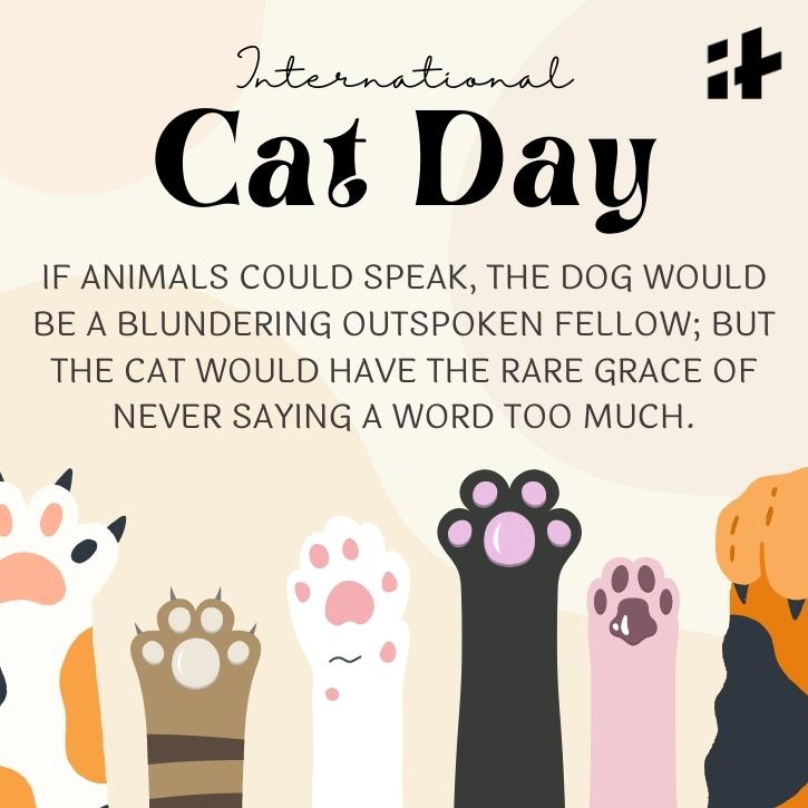 International Cat Day 2023 Best Wishes, Images, Quotes, Greetings ...