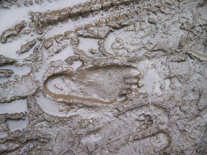 Alaskan Wilderness Teeming With Barefoot Prints Felt To Belong To Bigfoot