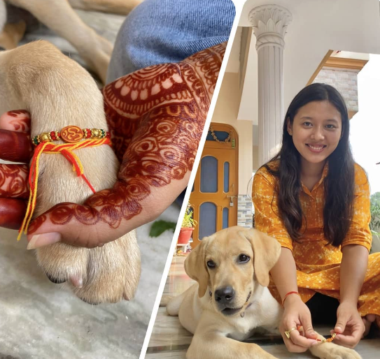 Desis Strengthening Their Bonds With Their Furry Friends This Raksha ...