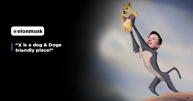 Elon Musk & His Mother's Tweets Set Dogecoin Price On A Rollercoaster