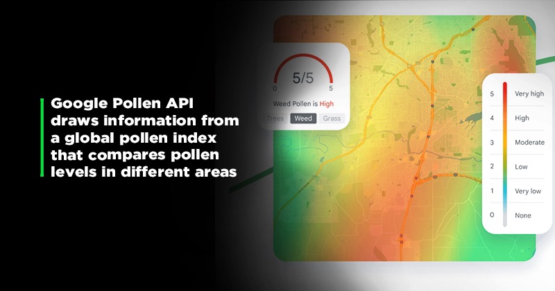 Google's New Pollen Mapping Tool Aims To Alleviate The Misery Of ...