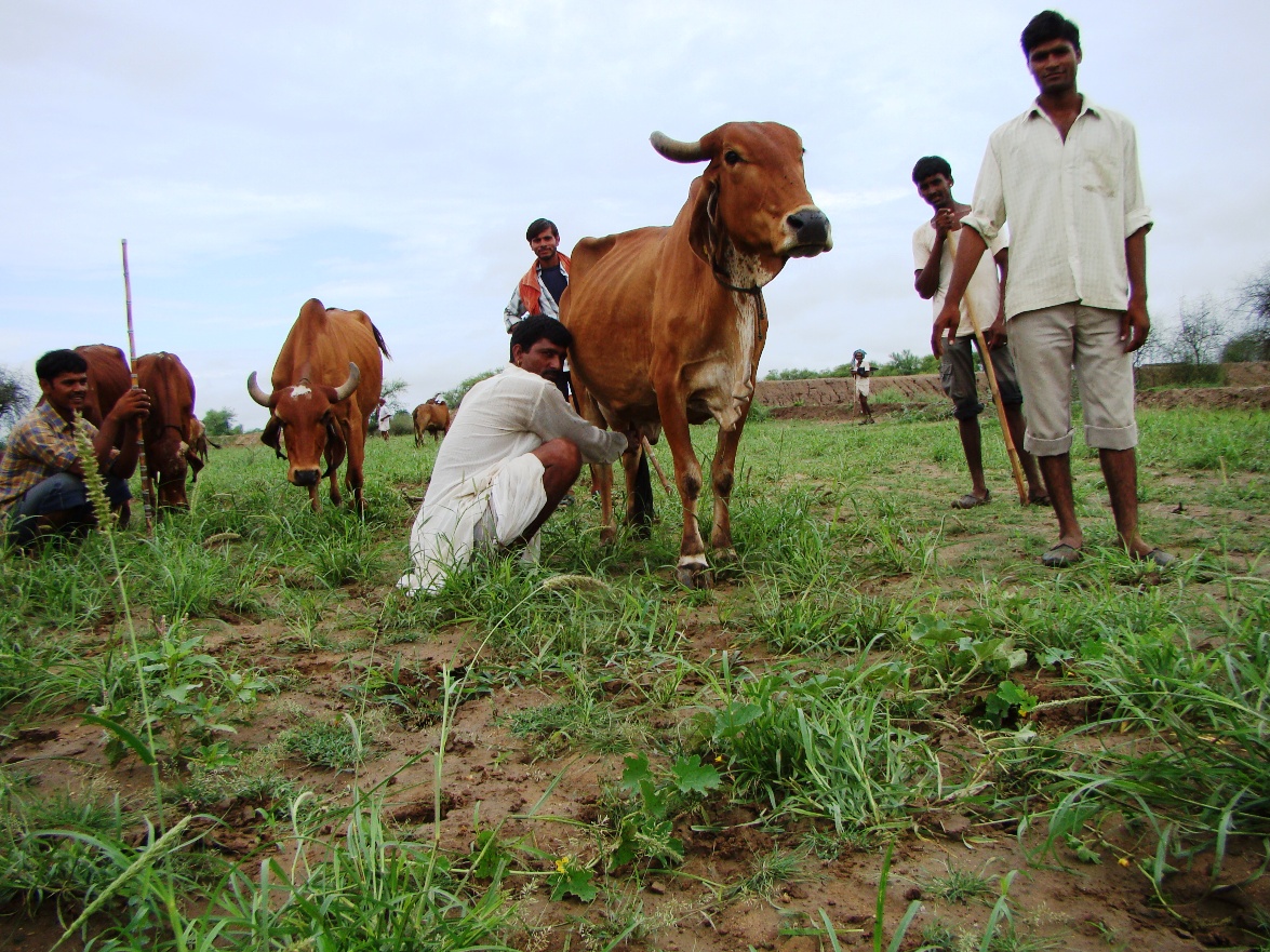 World Water Week: How Laxman Singh Turned Rajasthan's Lapodia Into A ...